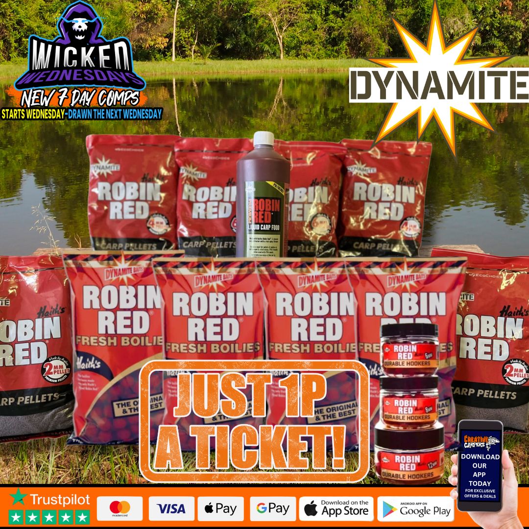 1P COMP DYNAMITE ROBIN RED BUNDLE – Creative Carpers