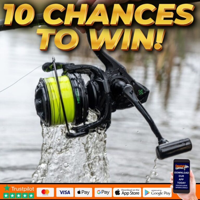 Competitions – Creative Carpers